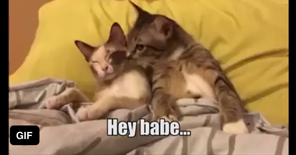 Hey Babe 9gag