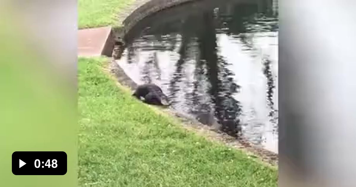 Agent P > James Bond - 9GAG