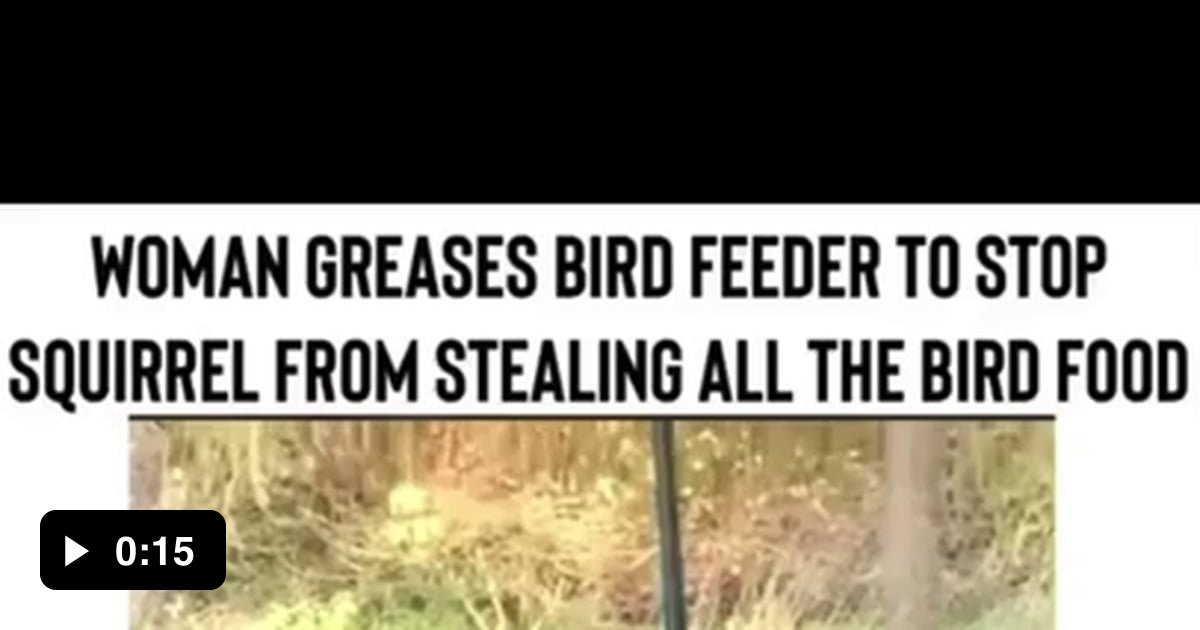 That long, slow, dead inside slide... - 9GAG