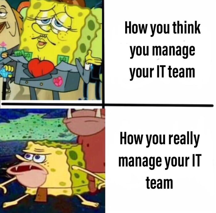 IT Project Manager be like... - 9GAG