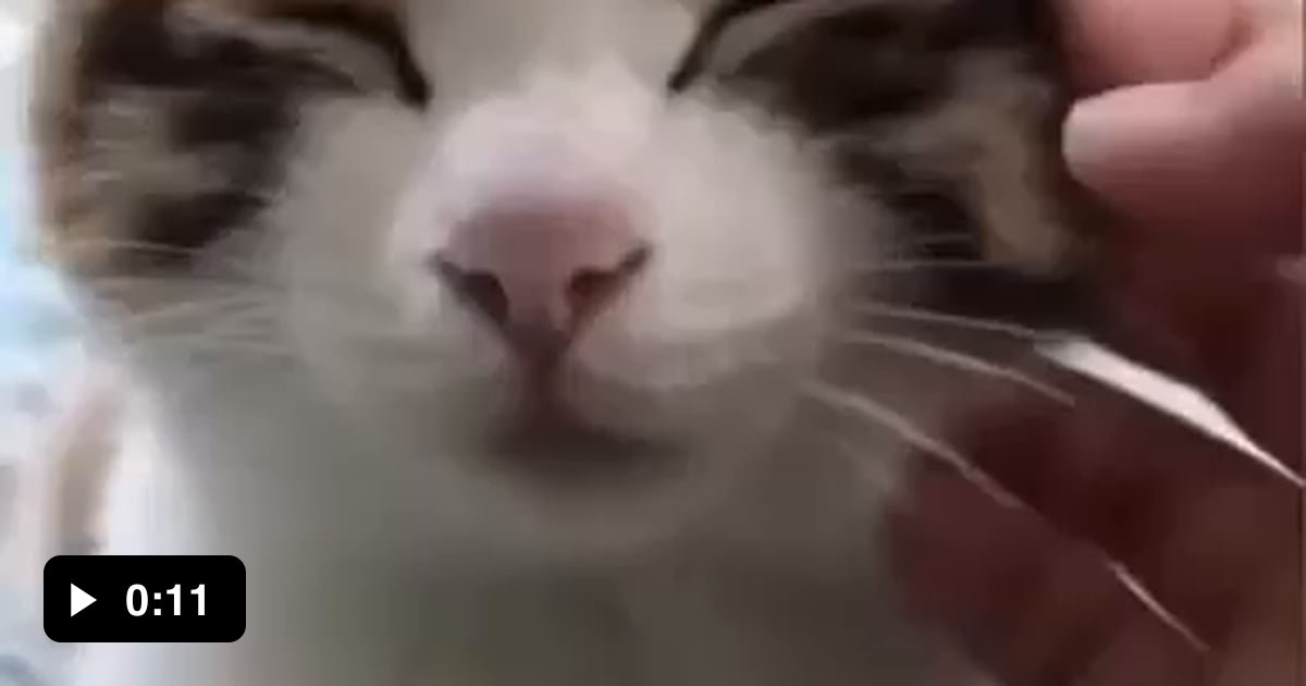 Me when there is a senseless discussion - 9GAG