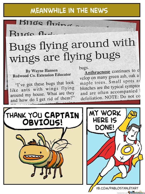 The origin of "Captain here! ... *flies away*" a long forgotten meme ...