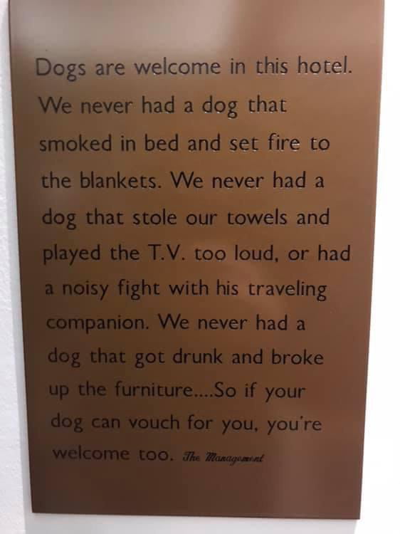 This sign at a dog friendly hotel - 9GAG