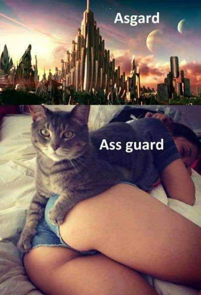 Best guard - 9GAG