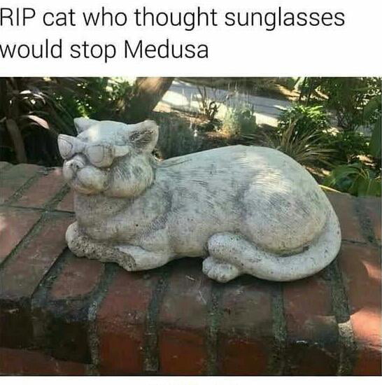 RIP little one - 9GAG