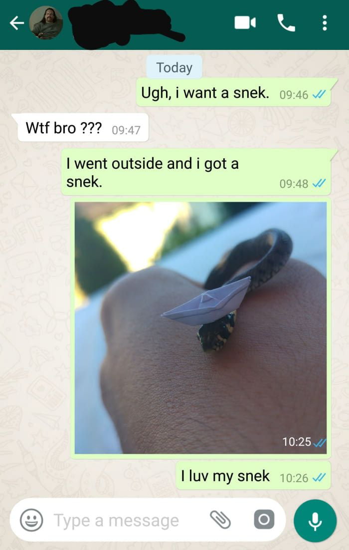 Damn now I want snek too... - 9GAG