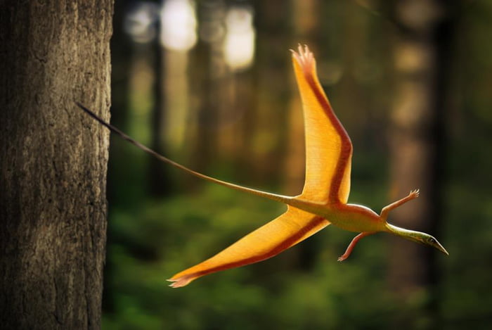"Welcome, to redundant park!" Sharovipteryx, from the Mid Triassic of ...