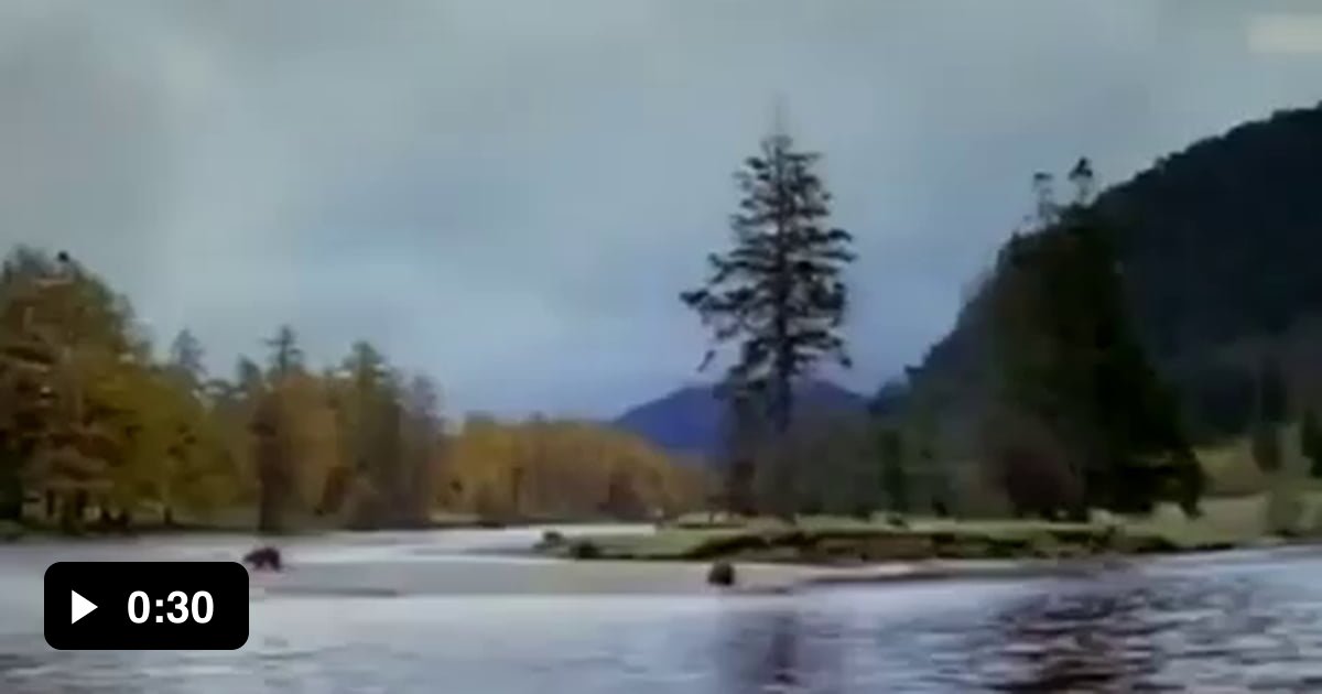 Best spot ever - 9GAG