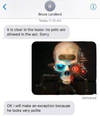 He is very cute - 9GAG