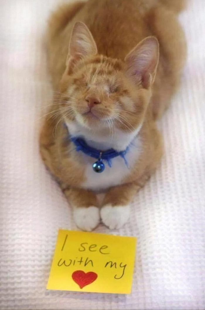 Ma heart, ma soul - 9GAG