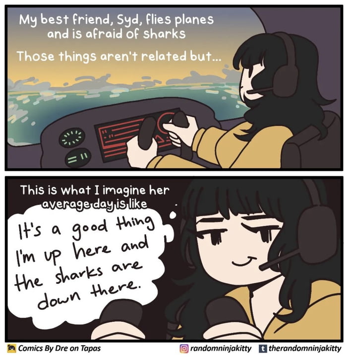 The truth about pilots - 9GAG