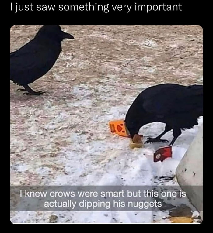 Remember your training, crows. - 9GAG