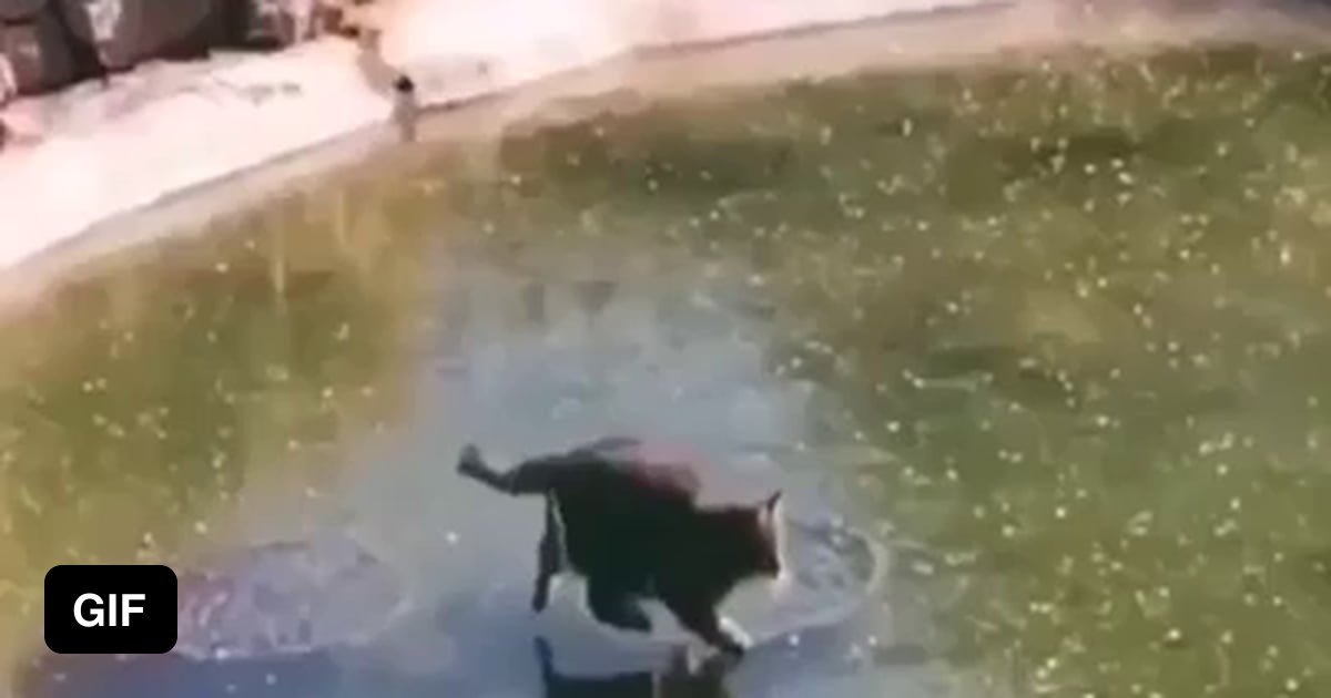 Touch da fishy - 9GAG