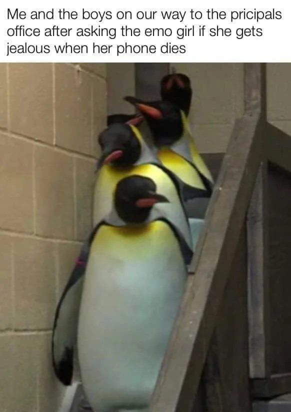 Fair question though - 9GAG