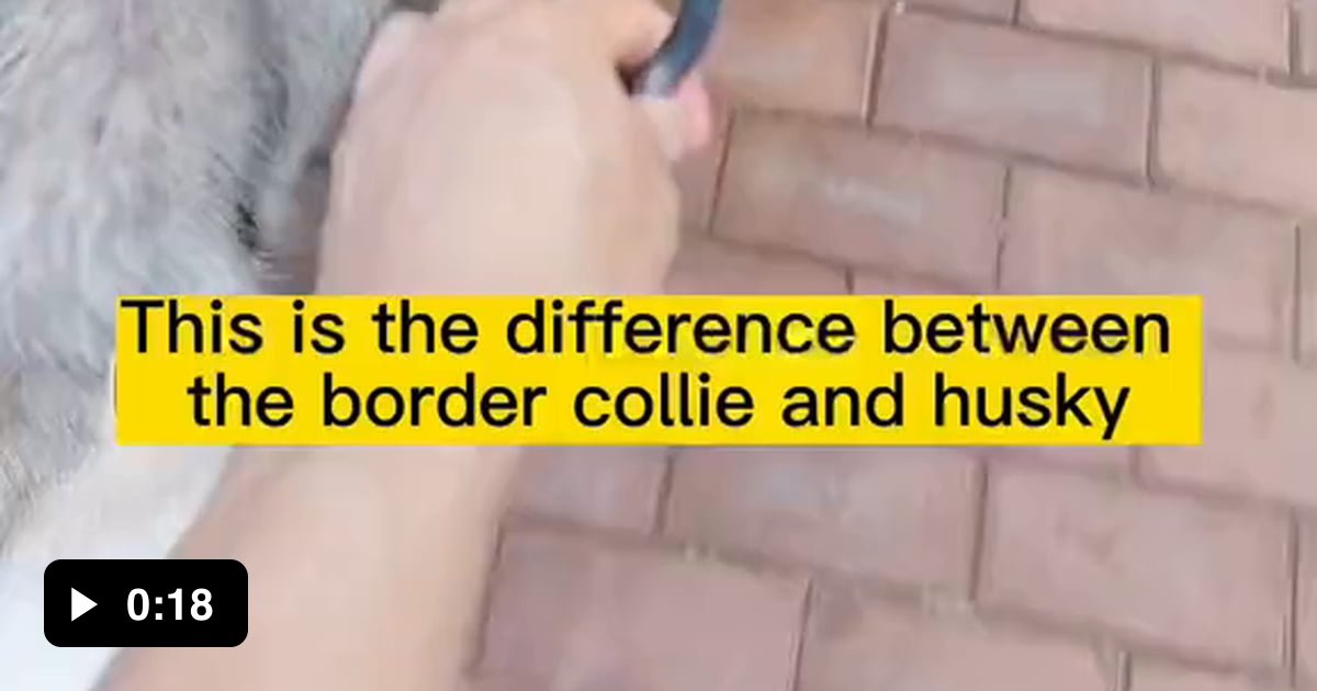 Hold this, let me goooo - 9GAG