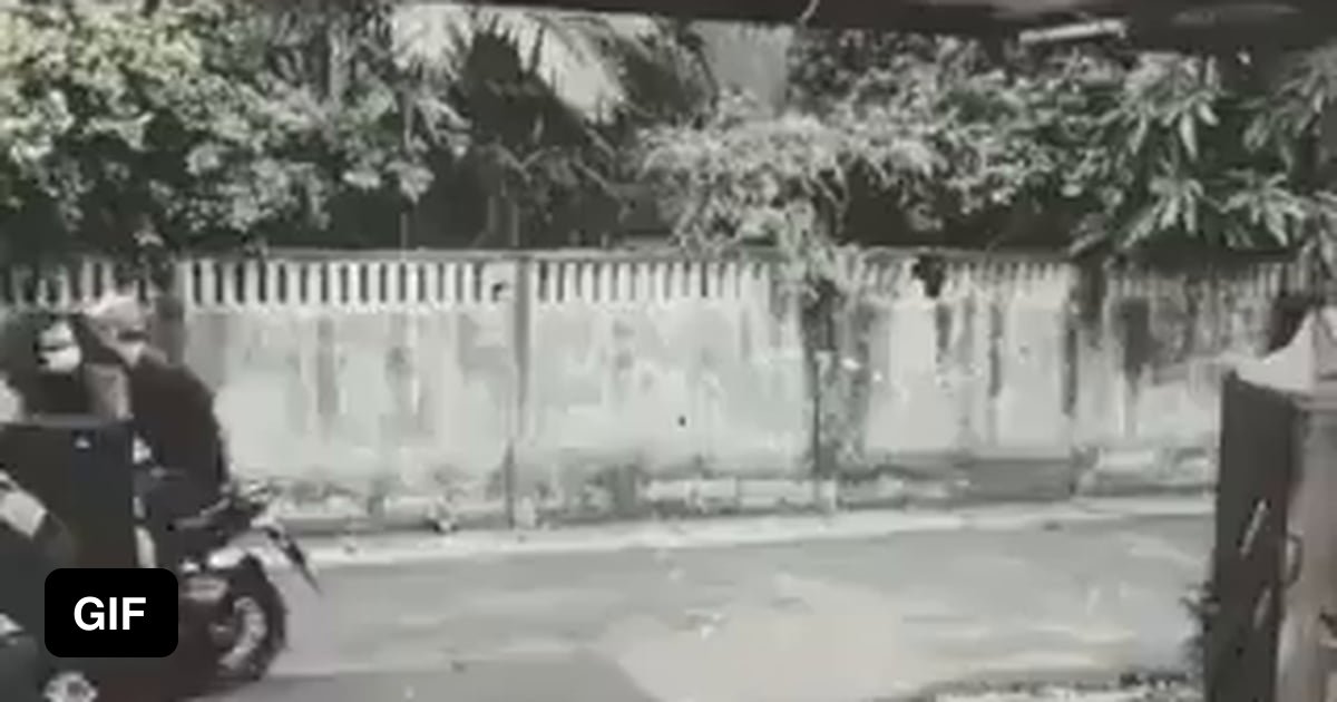 Two guys on a bike in Brazil - 9GAG