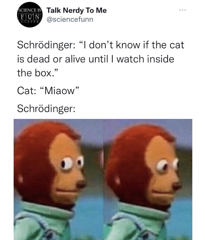 Schödinger’s cat once again won the fight - 9GAG