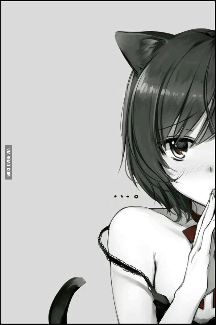 Shy neko girl.. - 9GAG