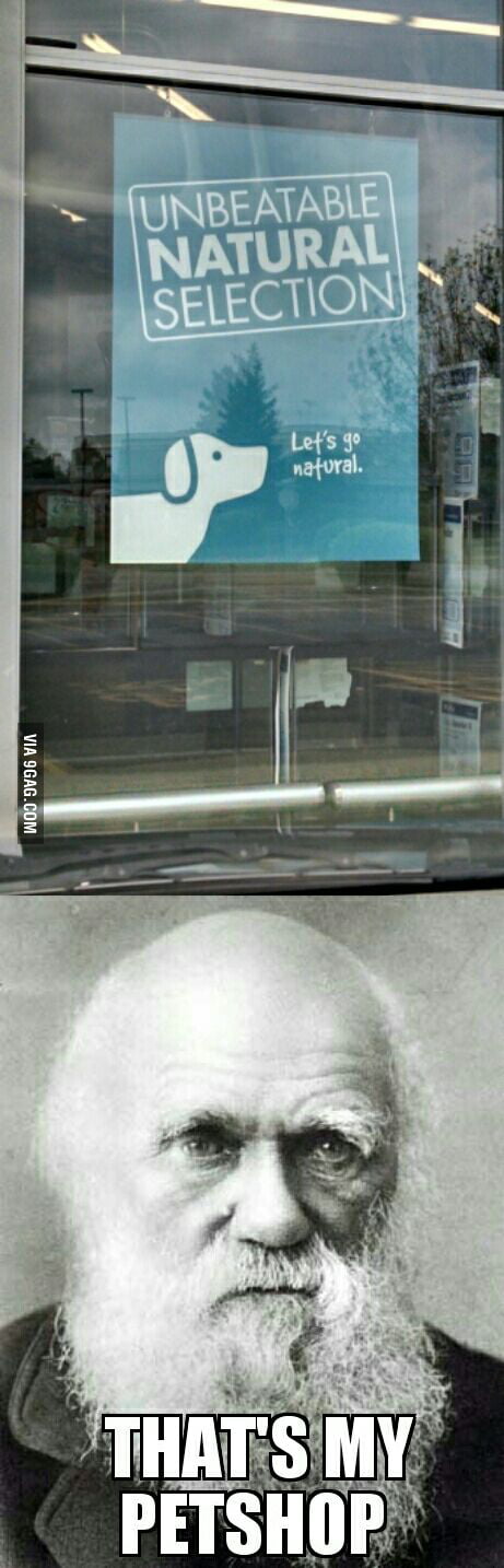 Charles Darwin Approves - 9GAG