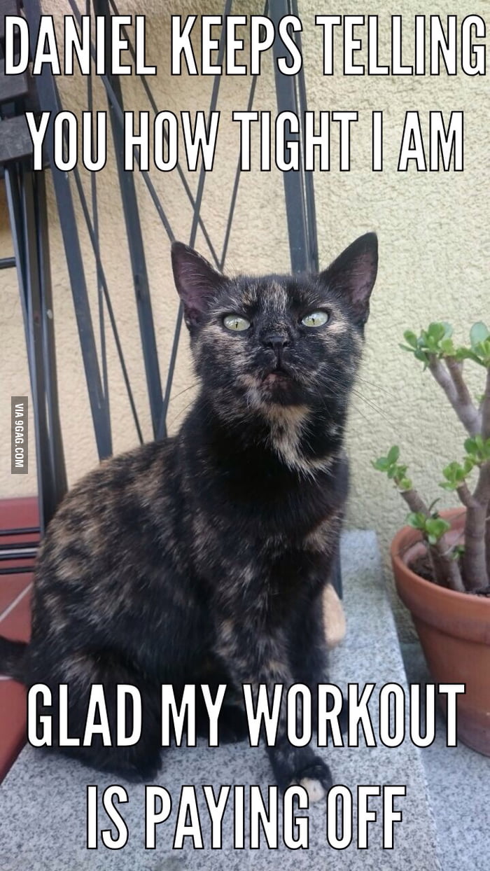 Clueless cat... - 9GAG