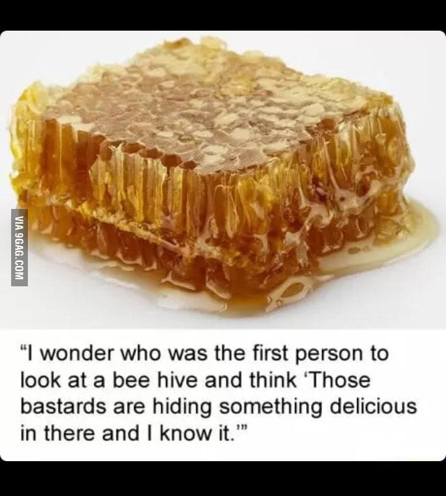 Me gonna eat sum bees - 9GAG