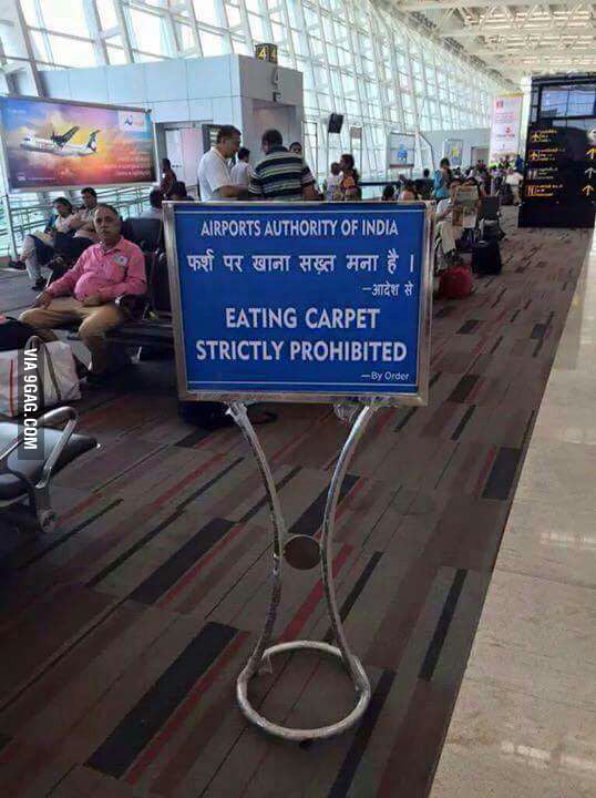 Nothing to see...No rug munching here!! - 9GAG