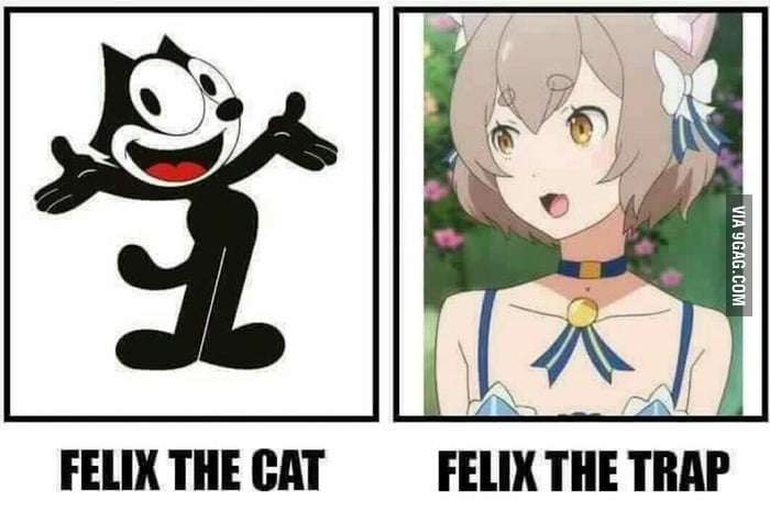 Felix is love felix is life - 9GAG