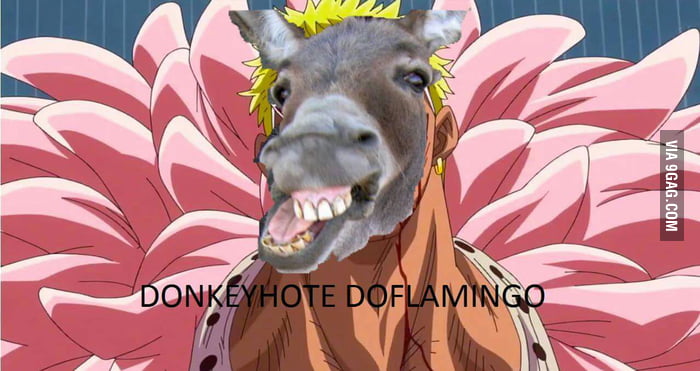 Donkeyhote Doflamingo - 9GAG