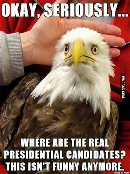 Srsly guys... - 9GAG