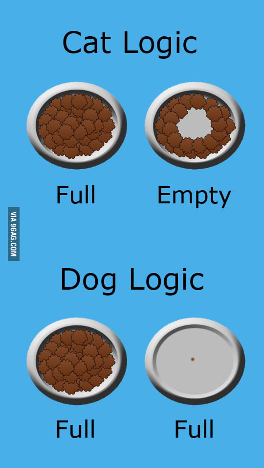 Cat logic vs Dog logic - 9GAG