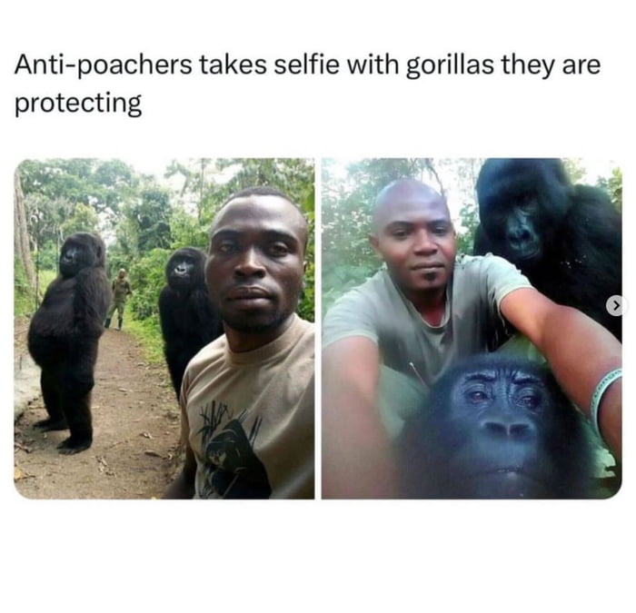 That’s pretty cool - 9GAG