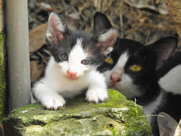 Meet Dicardo and her kid. Still haven't named him. Help. - 9GAG