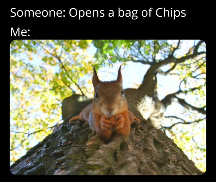 Iam fat but I have no clue why - 9GAG