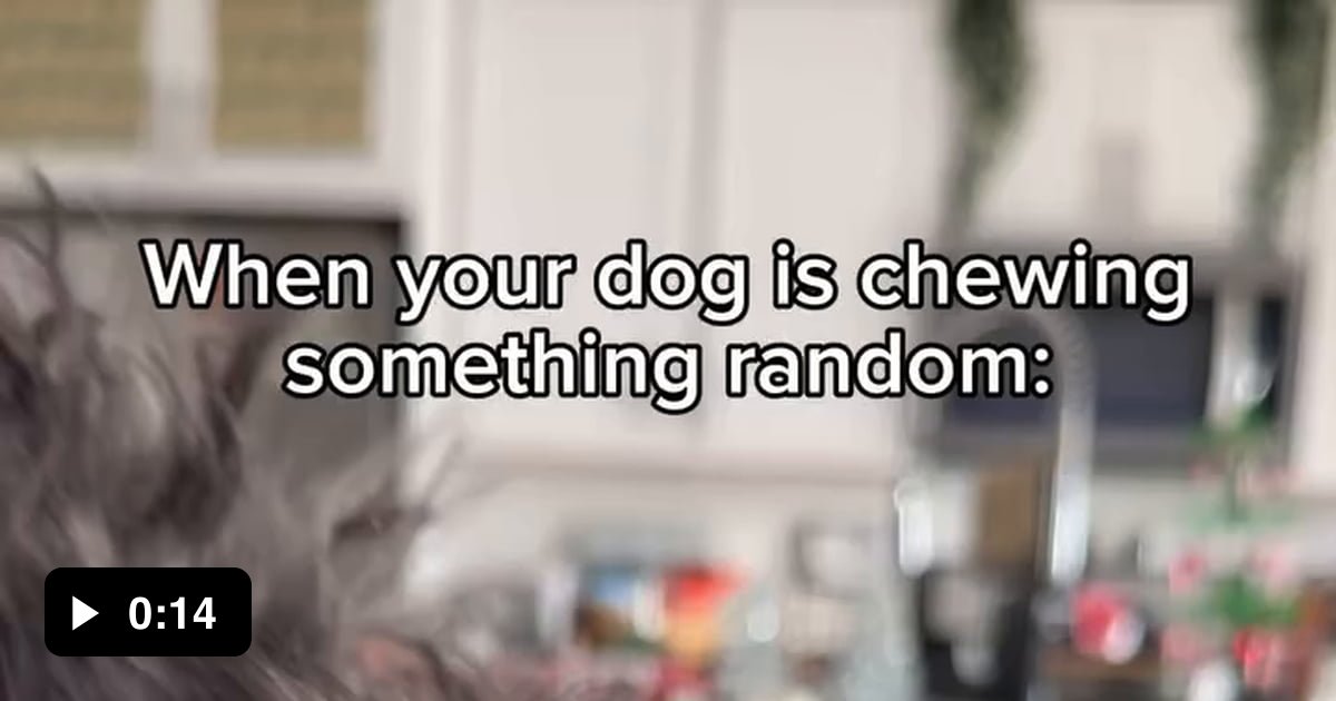 Oh, this is so true. Also when my dog notices I'm after whatever he's ...