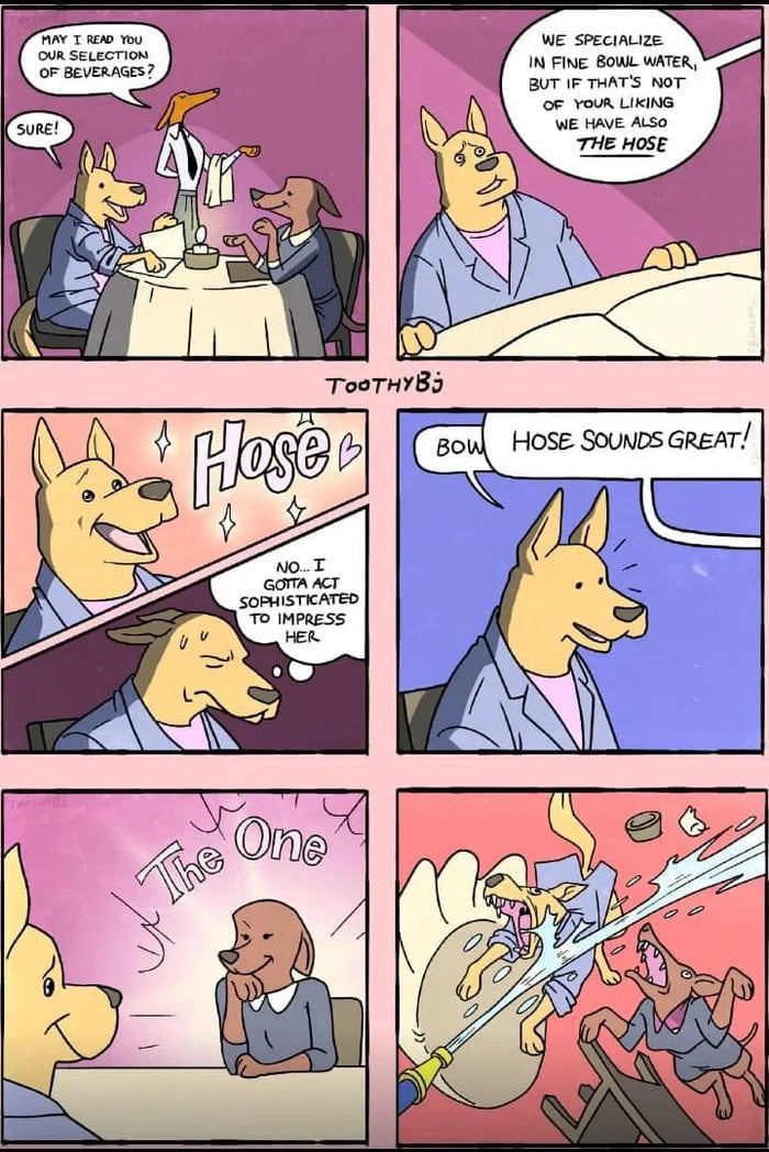 I love b* tches like those - 9GAG