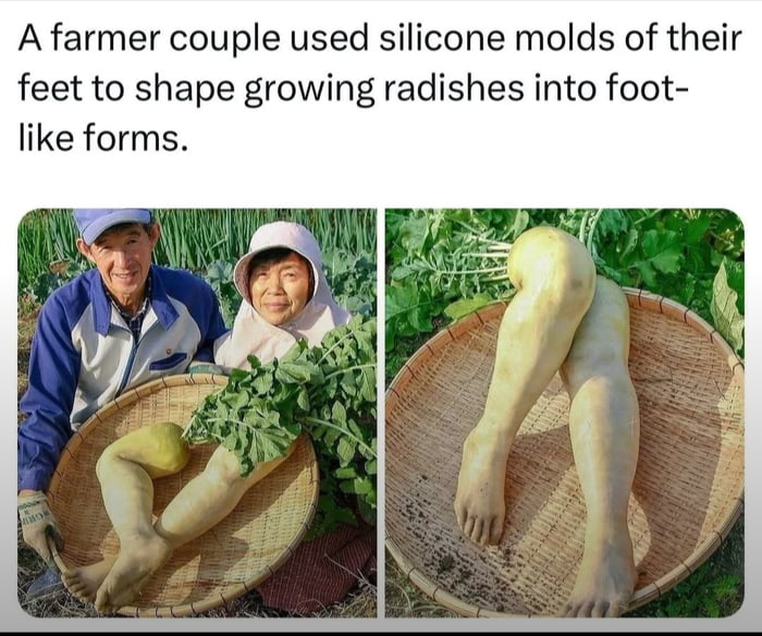 Feet radishes - 9GAG