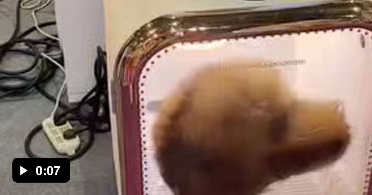 Tumble Dry vs Permanent Press - 9GAG