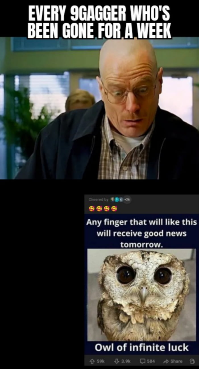 Confusion of da highest orda - 9GAG