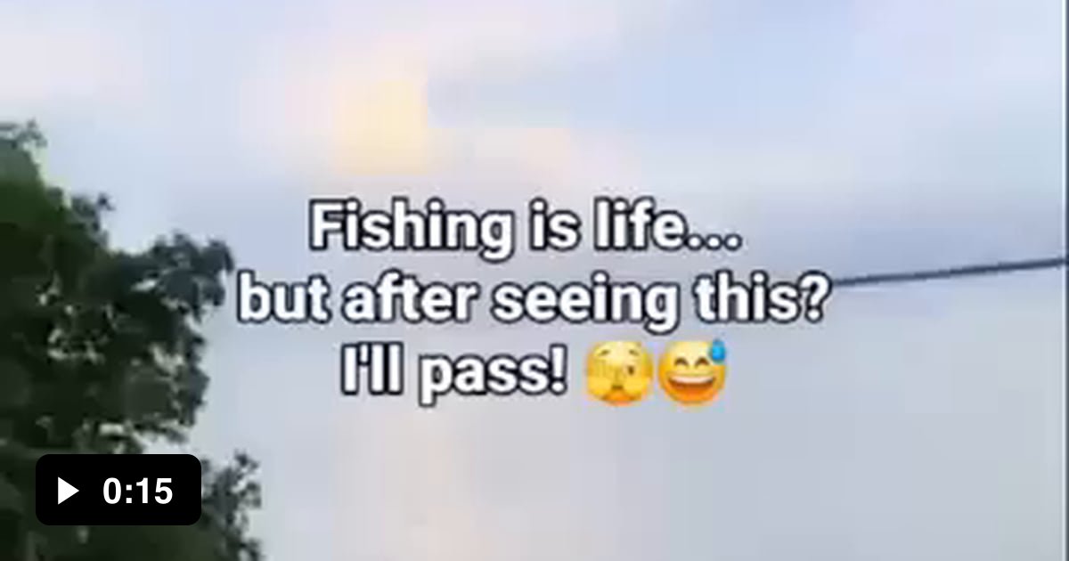 How fast an alligator can run? Watch - 9GAG