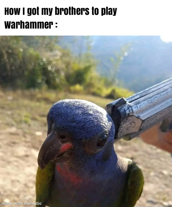 Whatever it takes to get them to join the hobby. - 9GAG