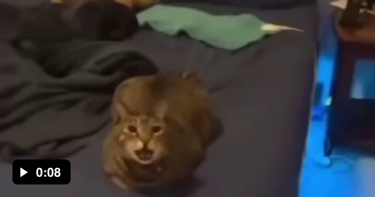 Look at this, look at this mf - 9GAG