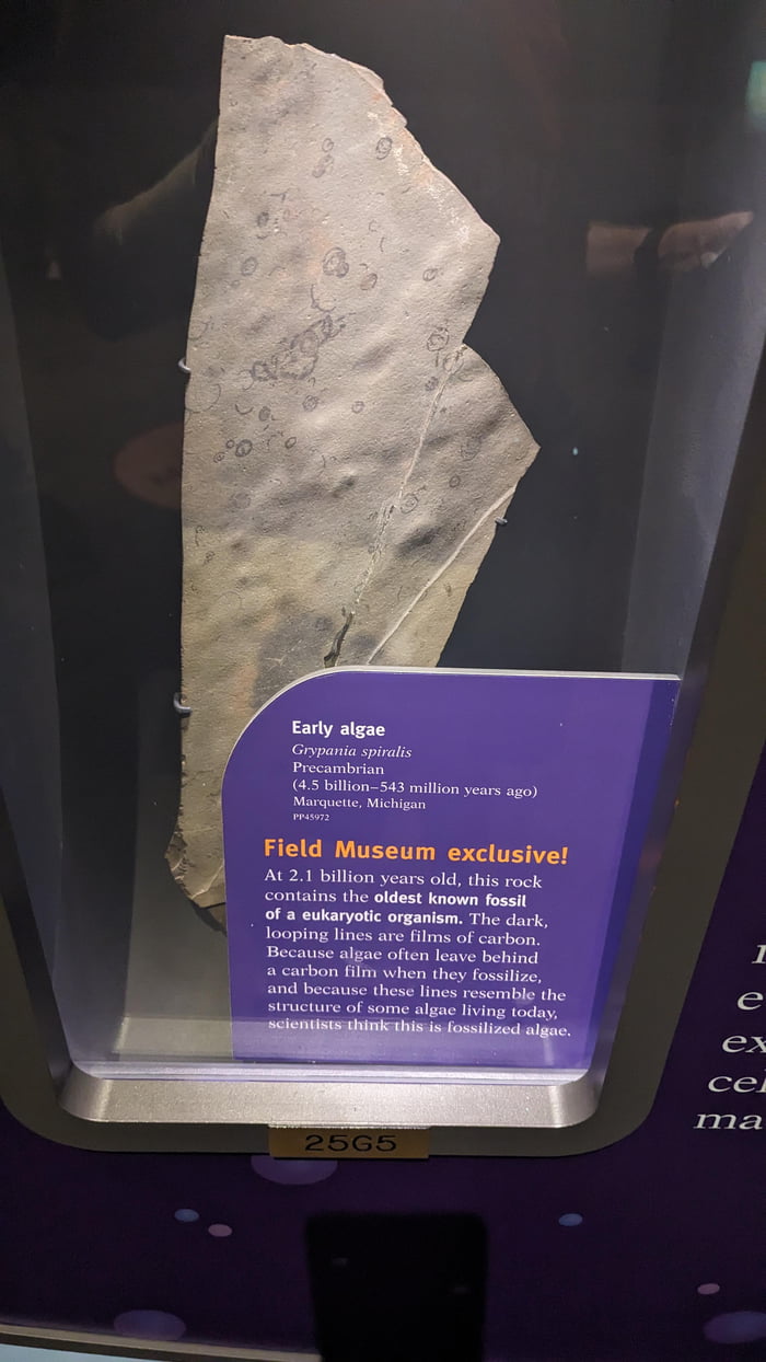 Crazy to think this rock has things that were alive over 2 billion ...