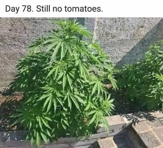 I can't figure out what I'm doing wrong! - 9GAG