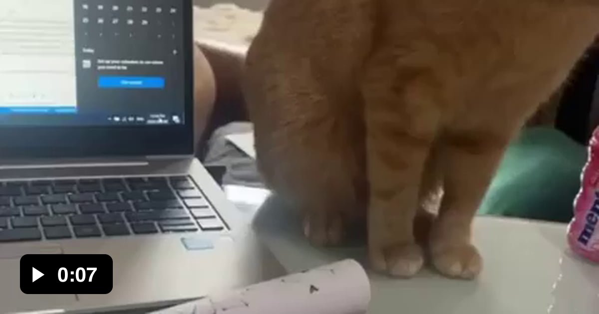 You're not working today.) - 9GAG