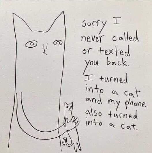 Sorry - 9GAG