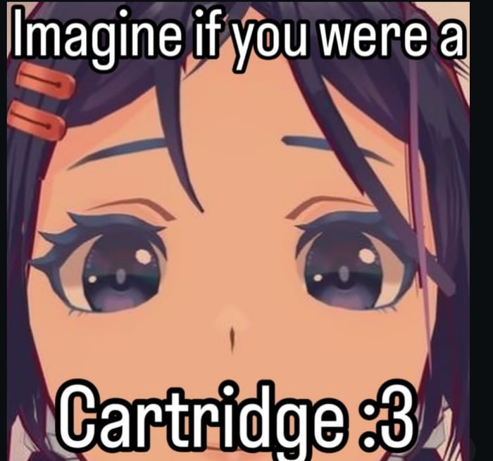 Heck , imagine 2 cartridge - 9GAG