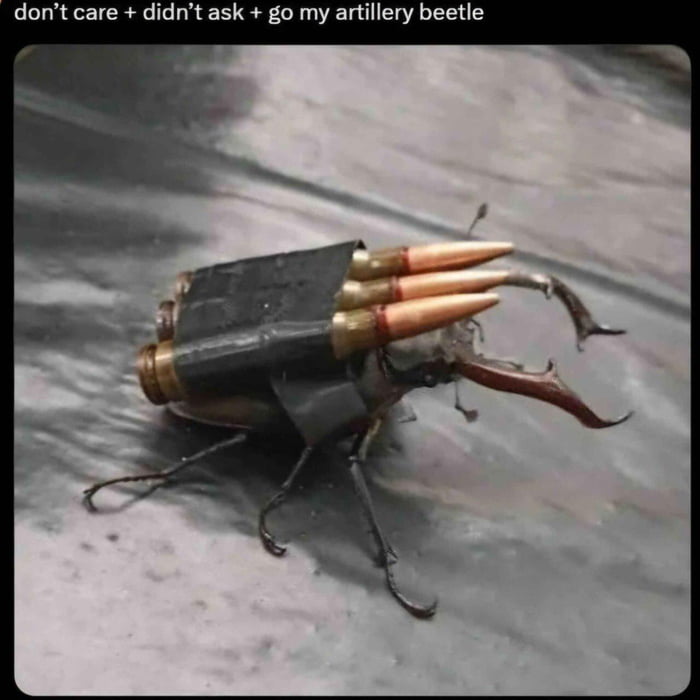 Tactical assault bug - 9GAG