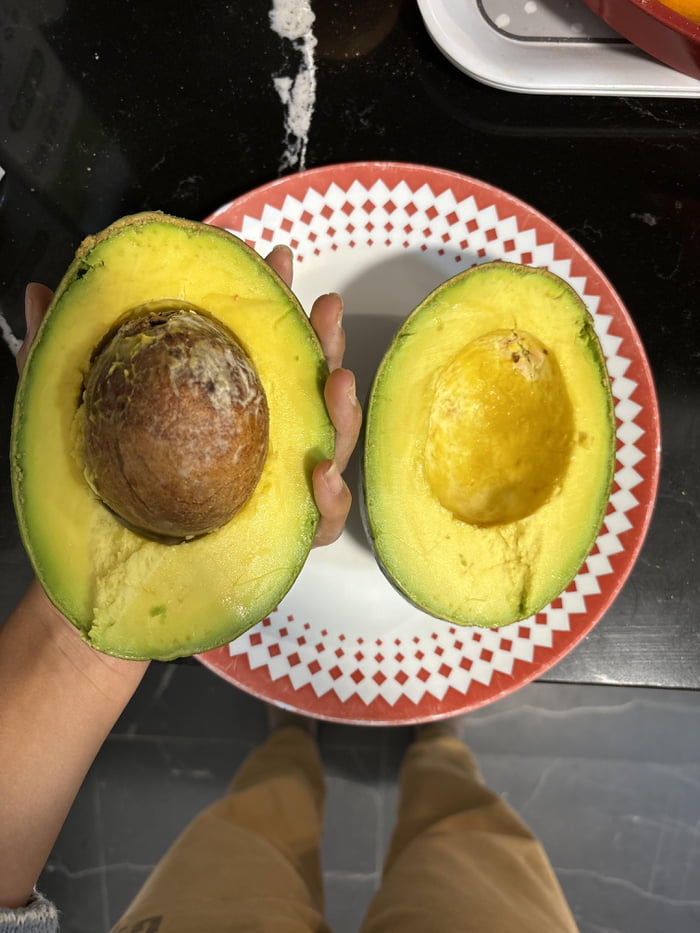 Of an avocado - 9GAG