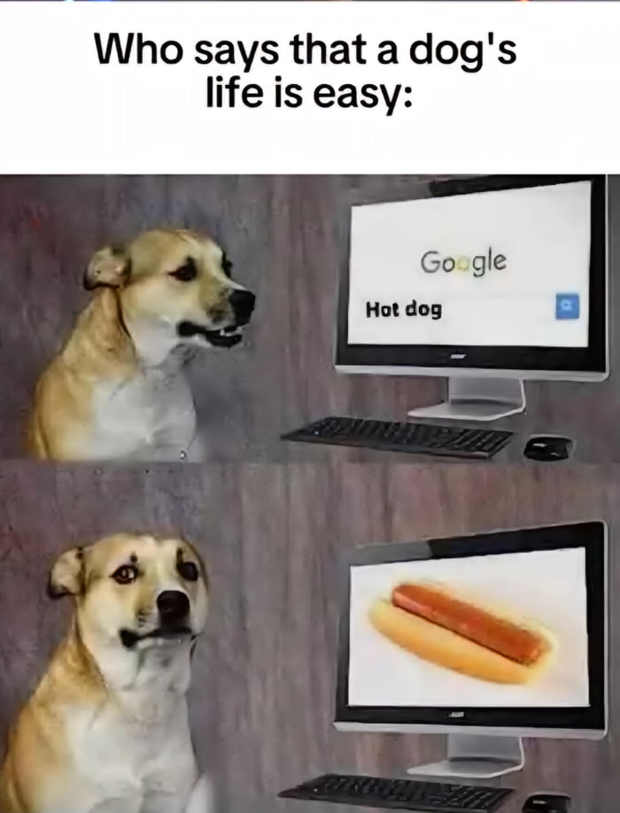Poor Doggo - 9GAG
