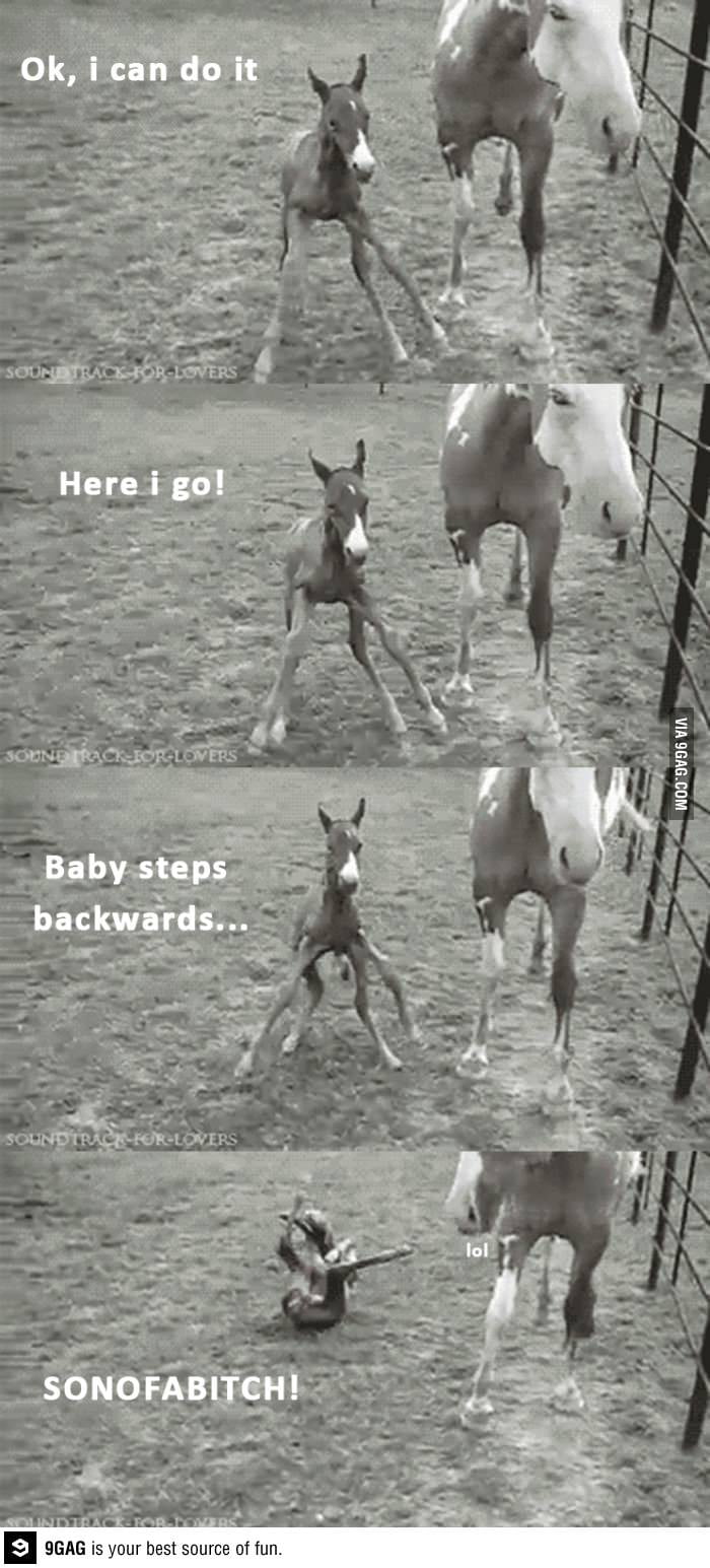 First steps - 9GAG